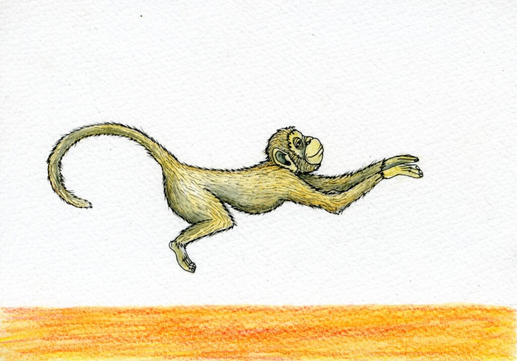 Imperial Feng Shui » The Monkey in the Year of the Fire Horse of 2026